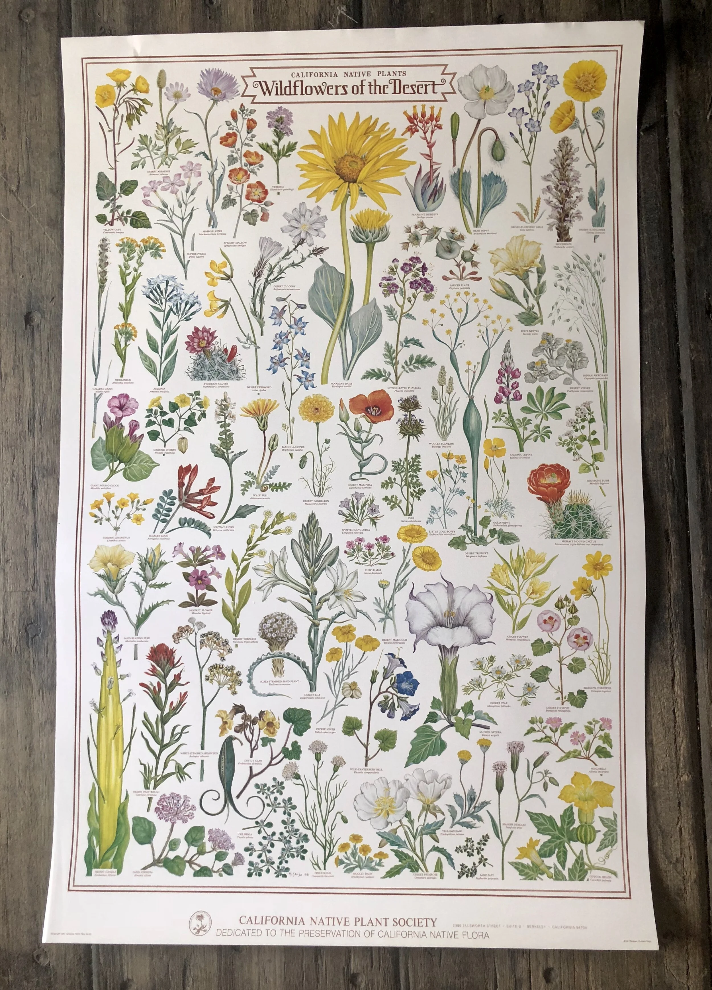 Southern California Native Plant Guide