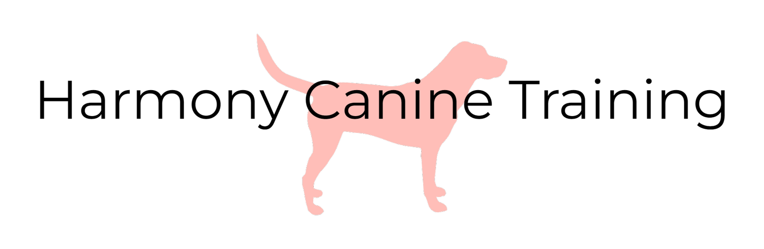 Harmony Canine Training