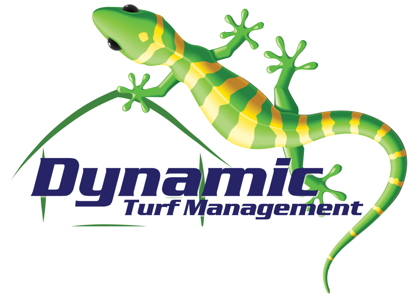 Dynamic Turf Management dynamic-turf-management