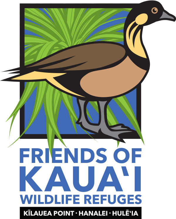 Kauai Animals