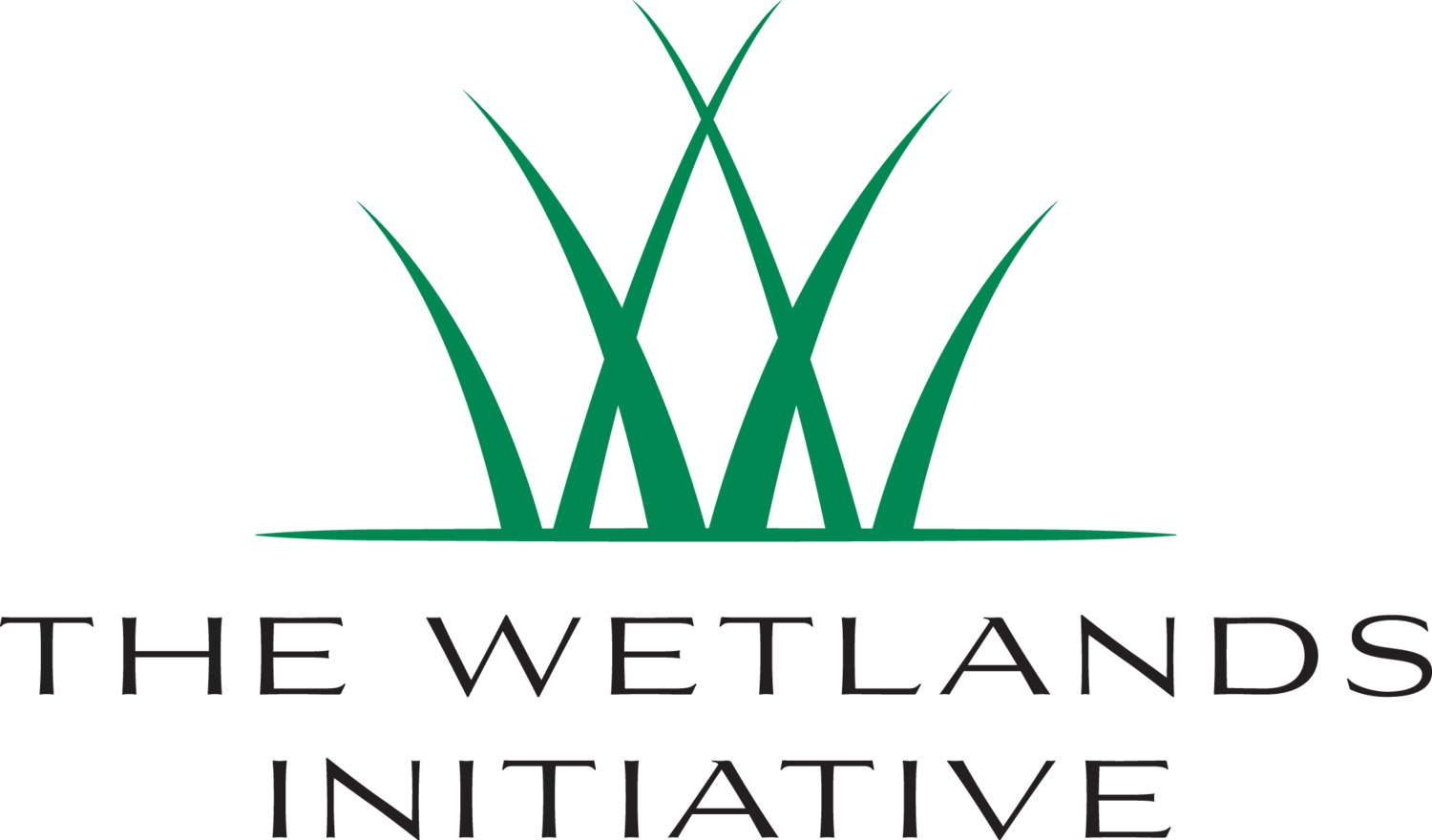 Nutrient Removal — The Wetlands Initiative Nutrient Removal — The Wetlands Initiative