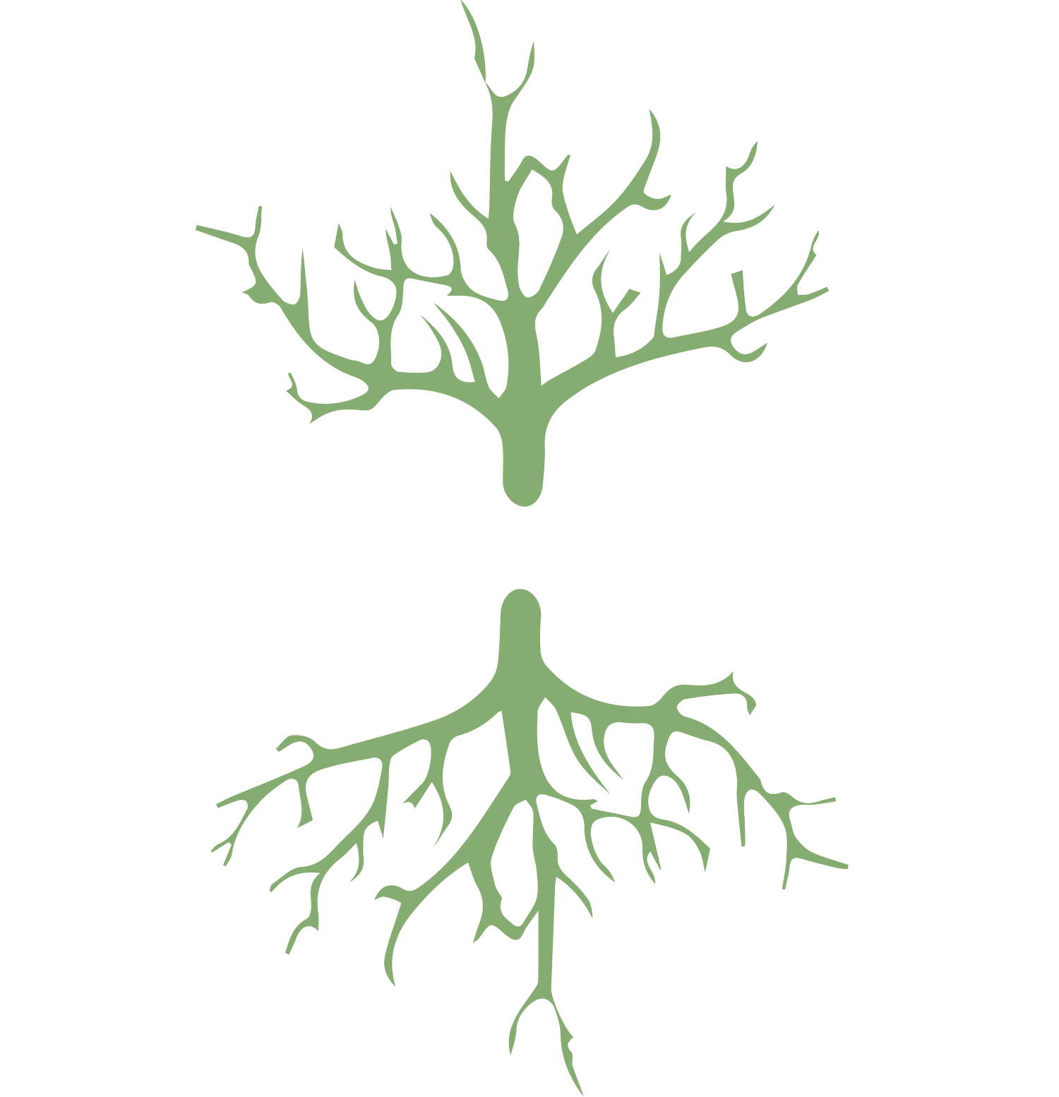 Root root