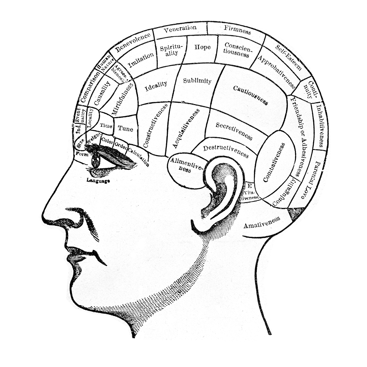 Stuff About Brains stuff-about-brains
