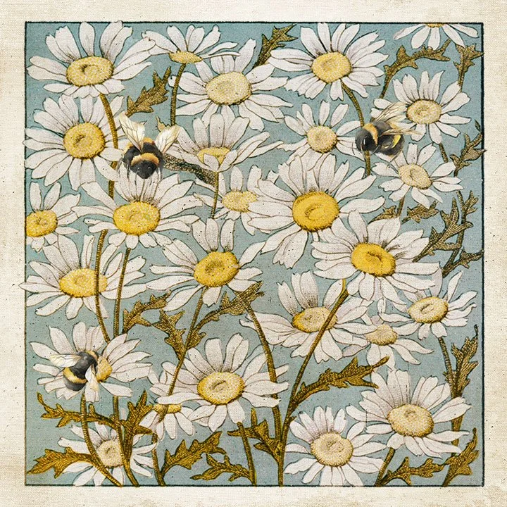 Vintage Daisy Pattern