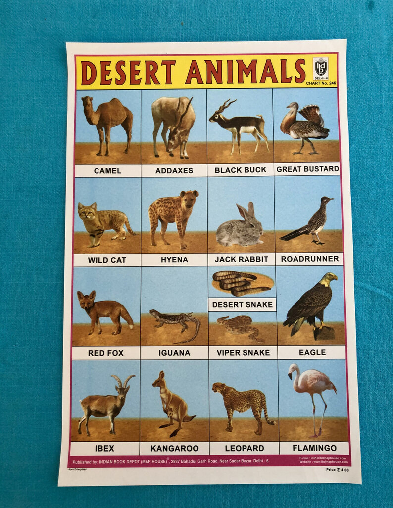Indian Desert Animals