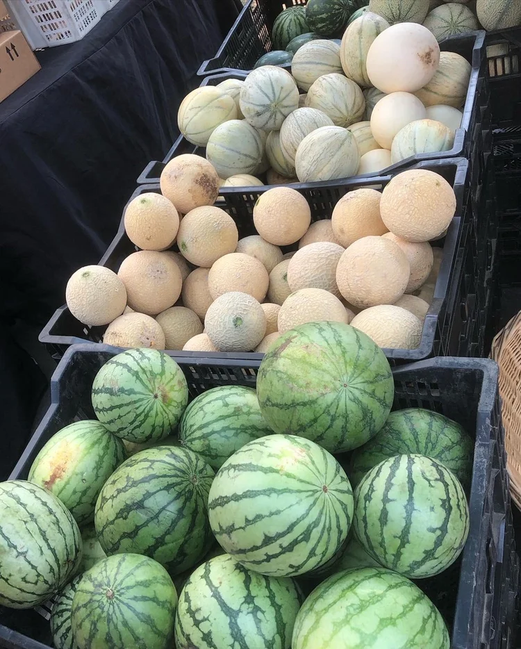 Don’t Be Melon-choly