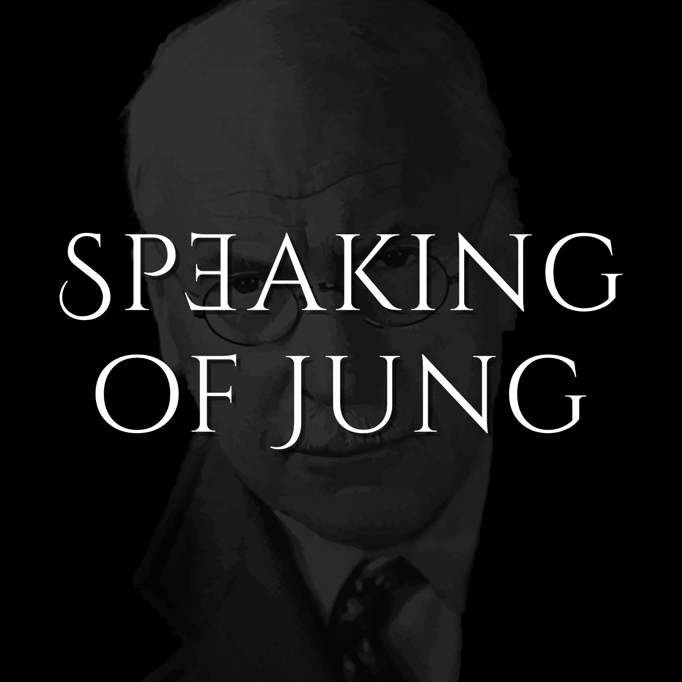 Diana Walsh Pasulka Speaking Of Jung Interviews With Jungian