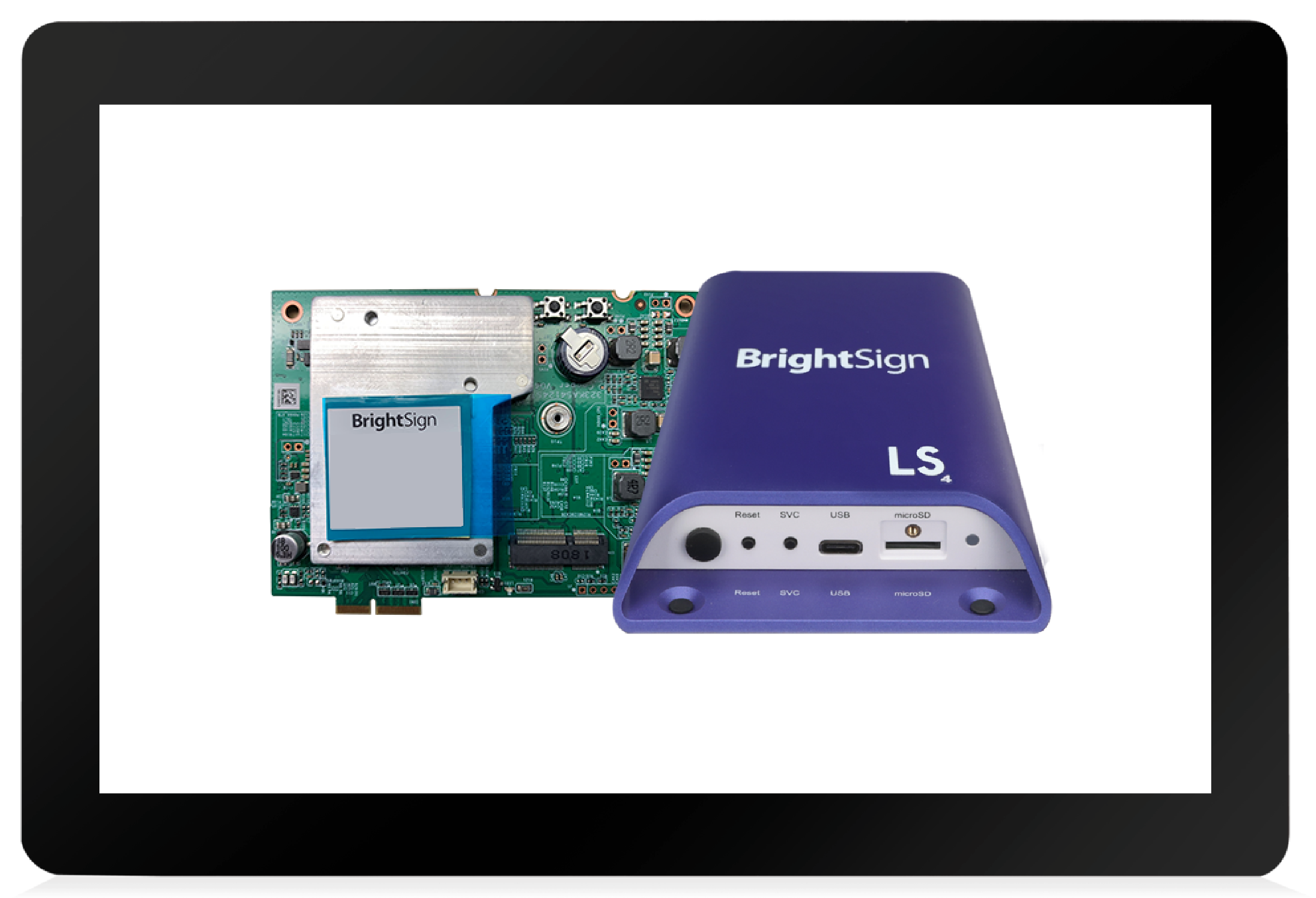 BrightSign Built-In — Bluefin