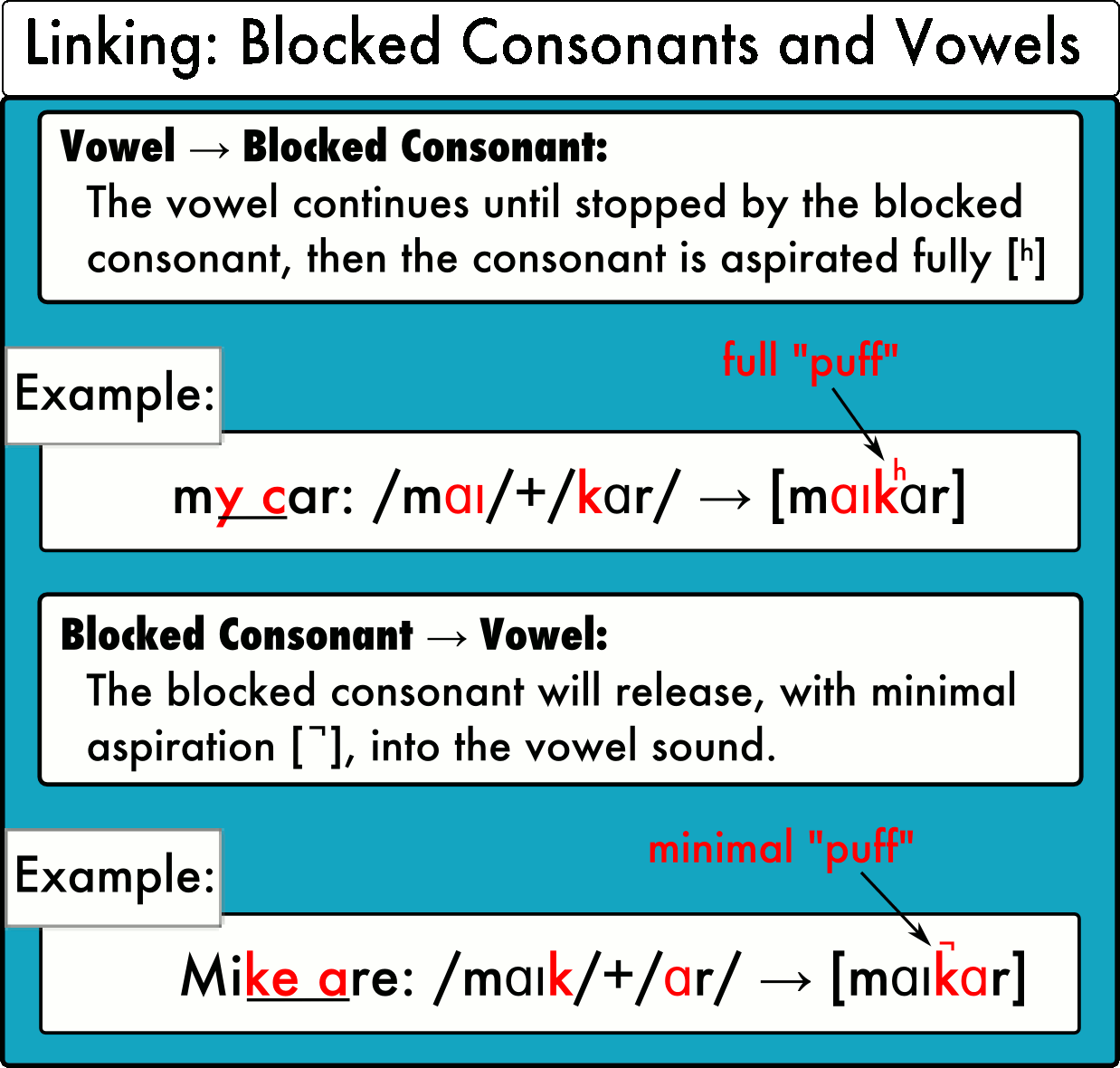 Consonant and vowel letters