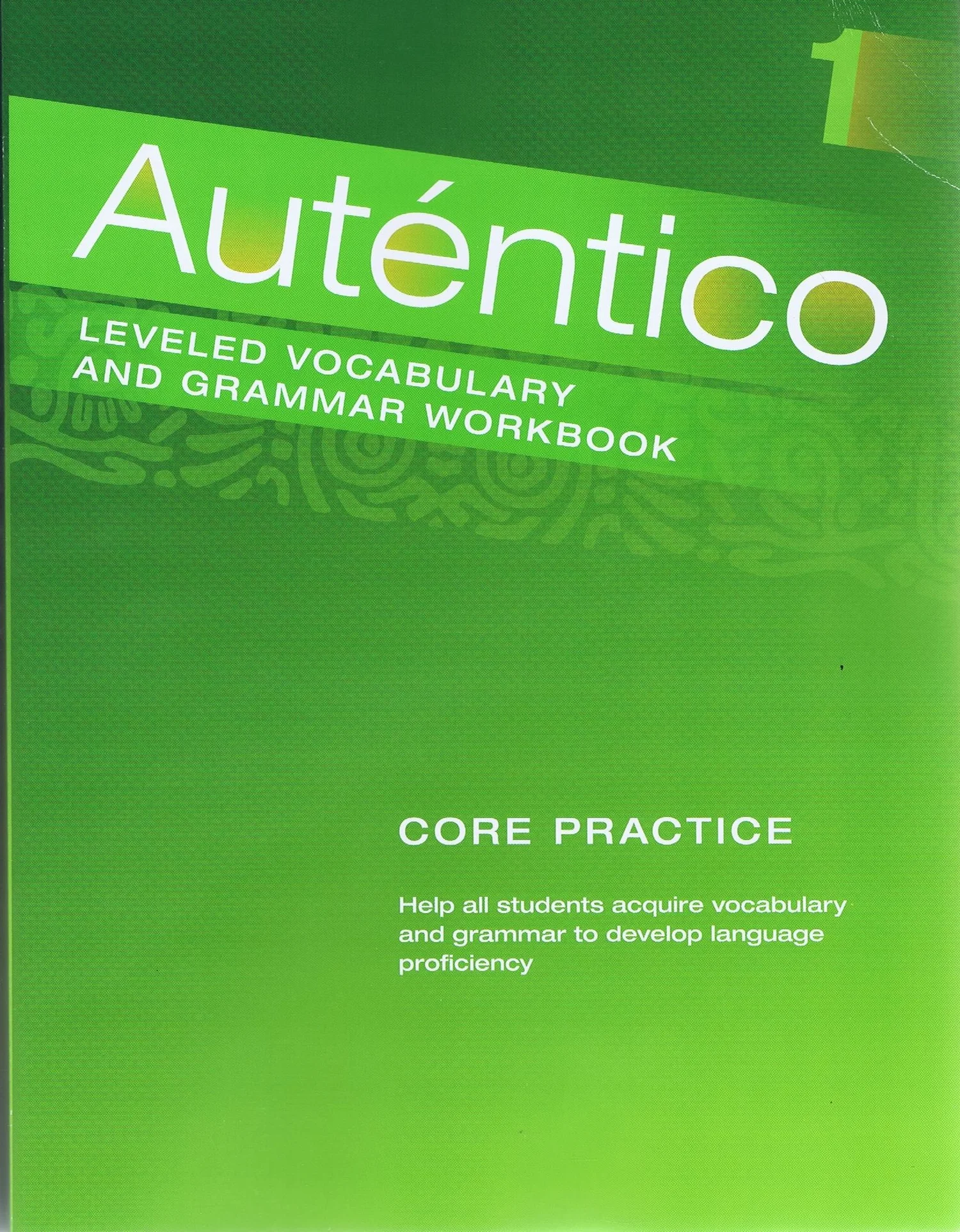 Students book grammar and vocabulary