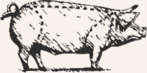 The Purple Pig Oak Brook — THE PURPLE PIG