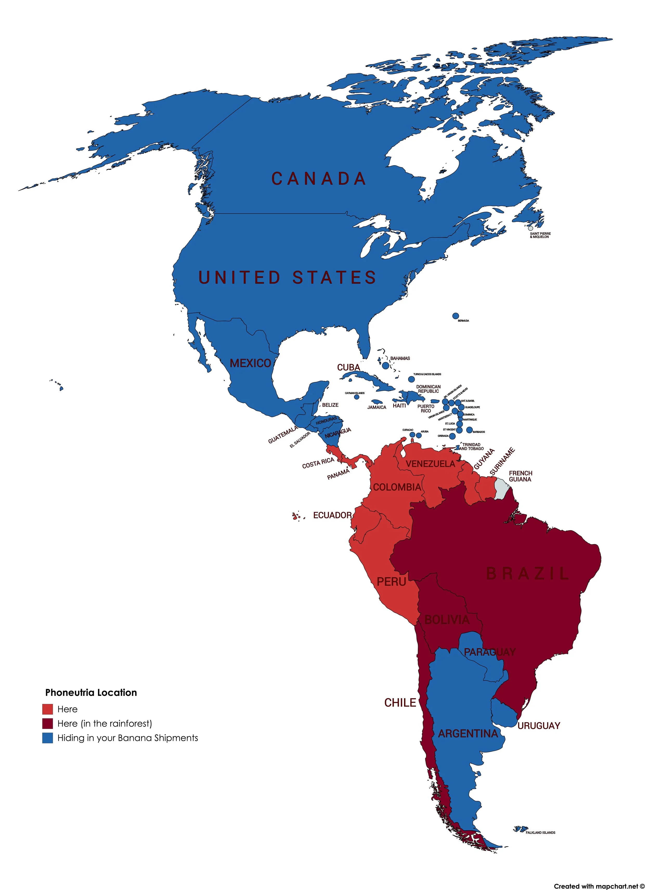 Information and pictures of all 8 genera of medically significant ...