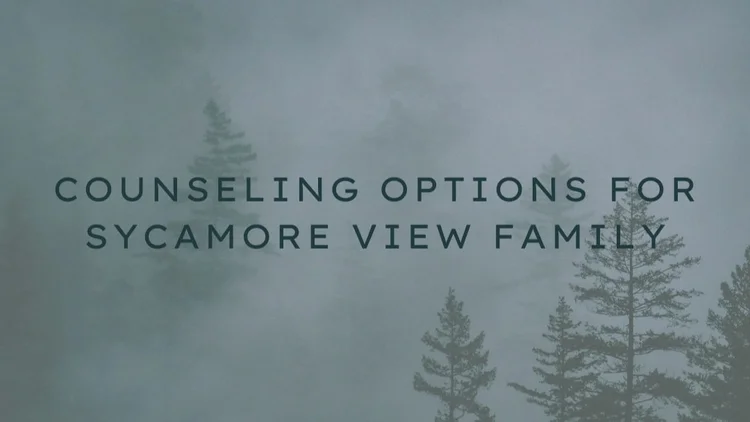 Sycamore View Church News | August 23, 2024