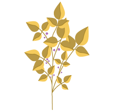 Plant Trait Technology | Solutions - ZeaKal