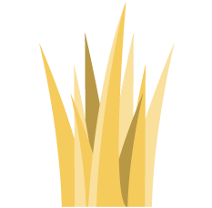 Plant Trait Technology | Solutions - ZeaKal