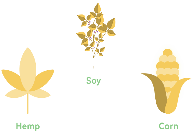 Plant Trait Technology | Solutions - ZeaKal