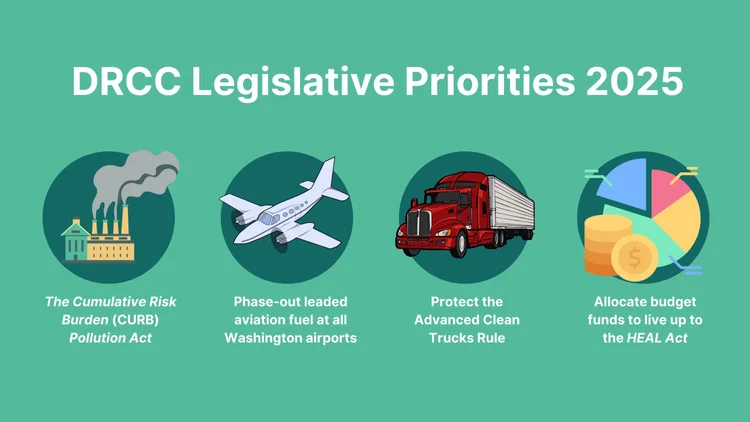 DRCC Newsletter: January 2025 Edition