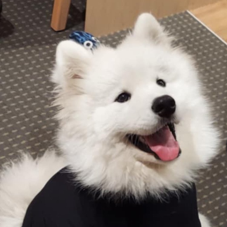 People — Bertozzi Group