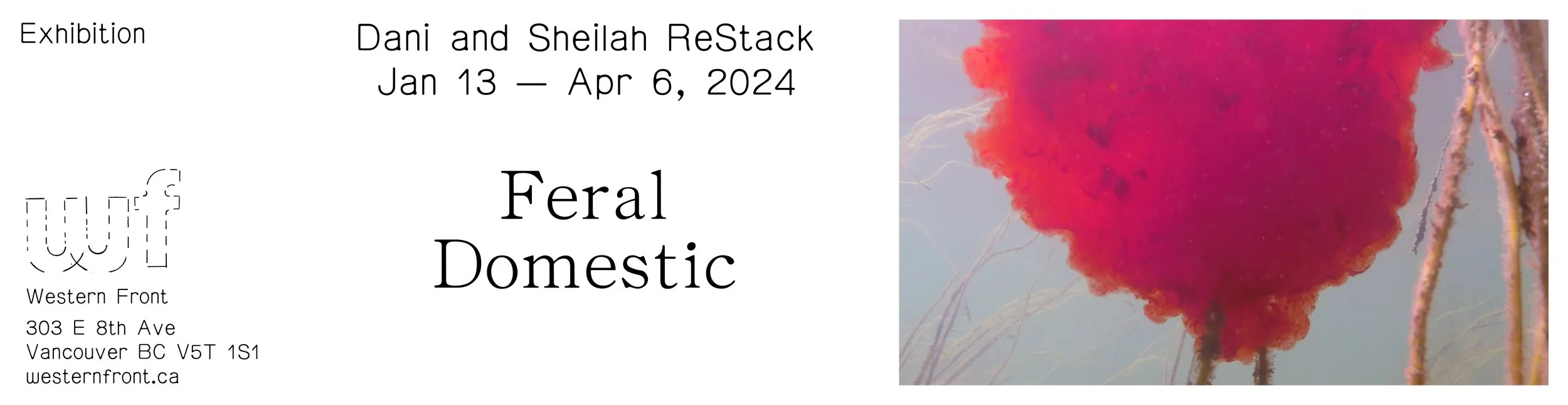 Western Front — Stir