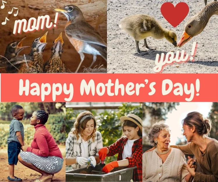 LBGCo-op Seaside Sprout - May 2025