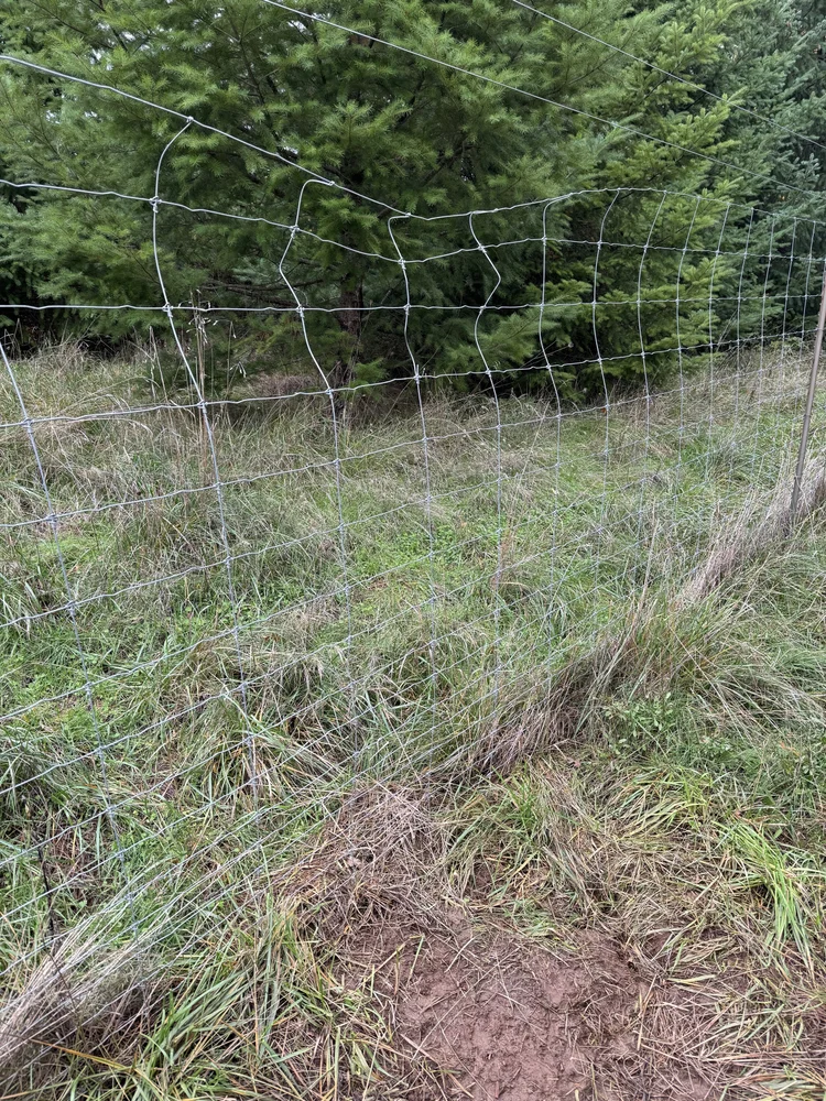 Our Deer Club Members