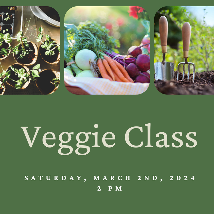 March into Spring: Exciting Events & Expert Advice Await!