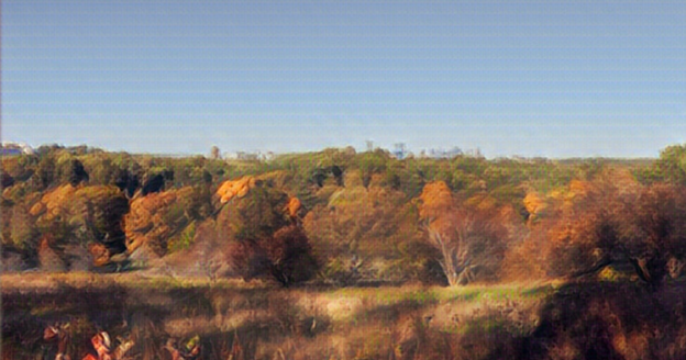 Changing Seasons in Carmel, Fall 2025