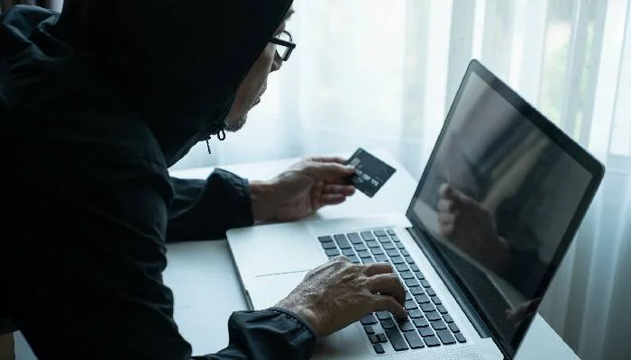 Financial Data Annotation Service Industry in the USA