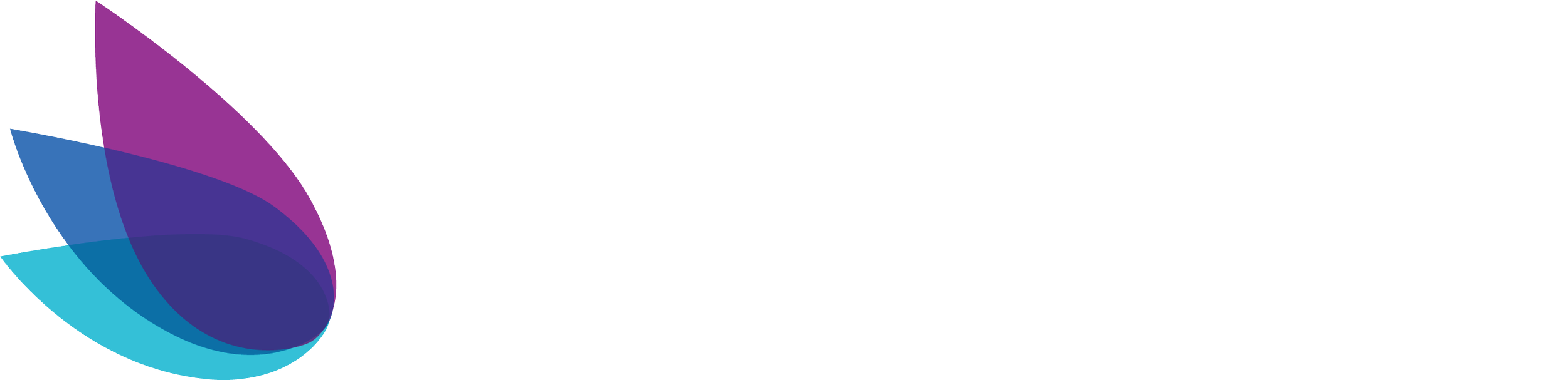 Companies — Valtruis