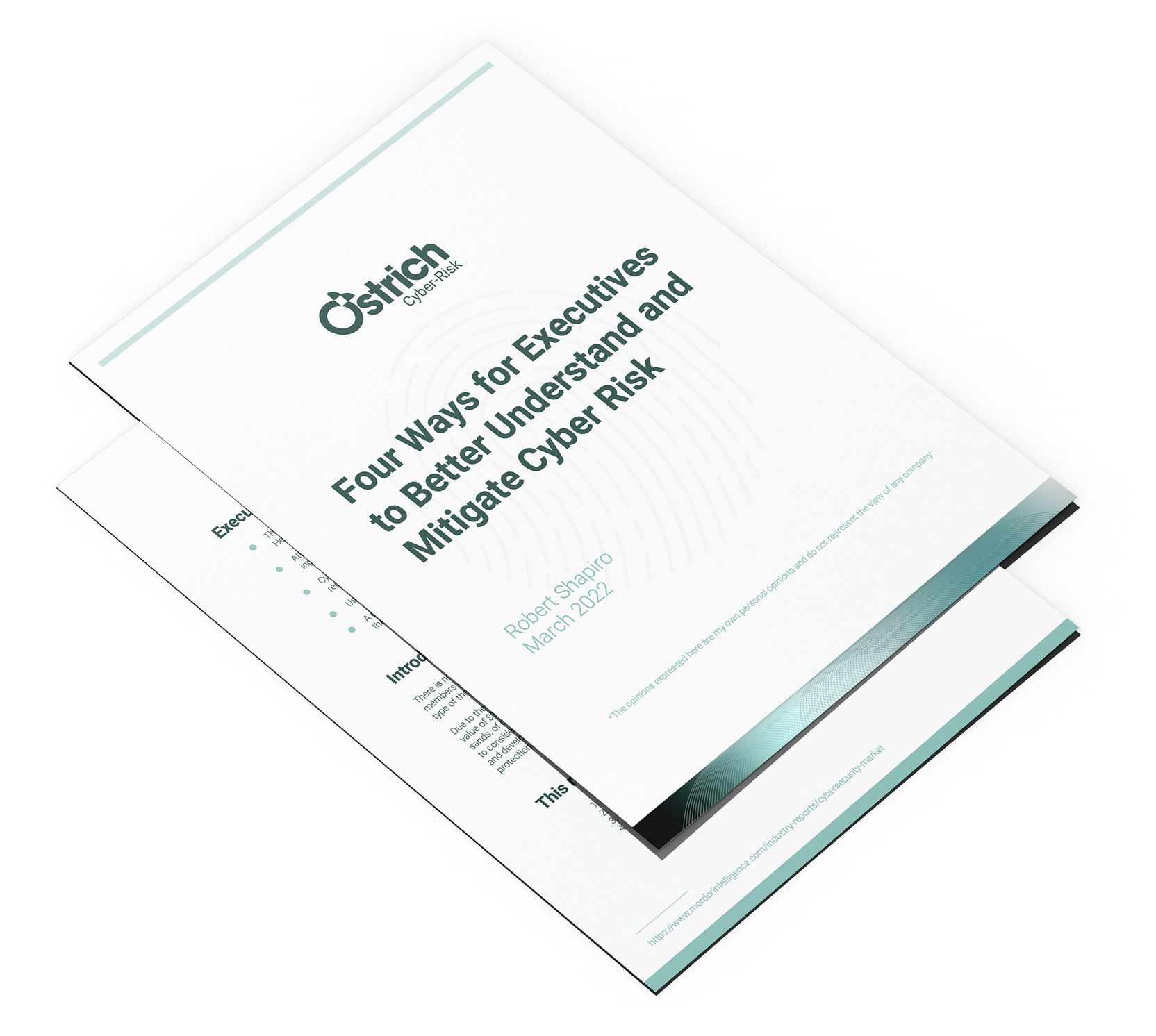 Ostrich Resources — Ostrich Cyber-Risk