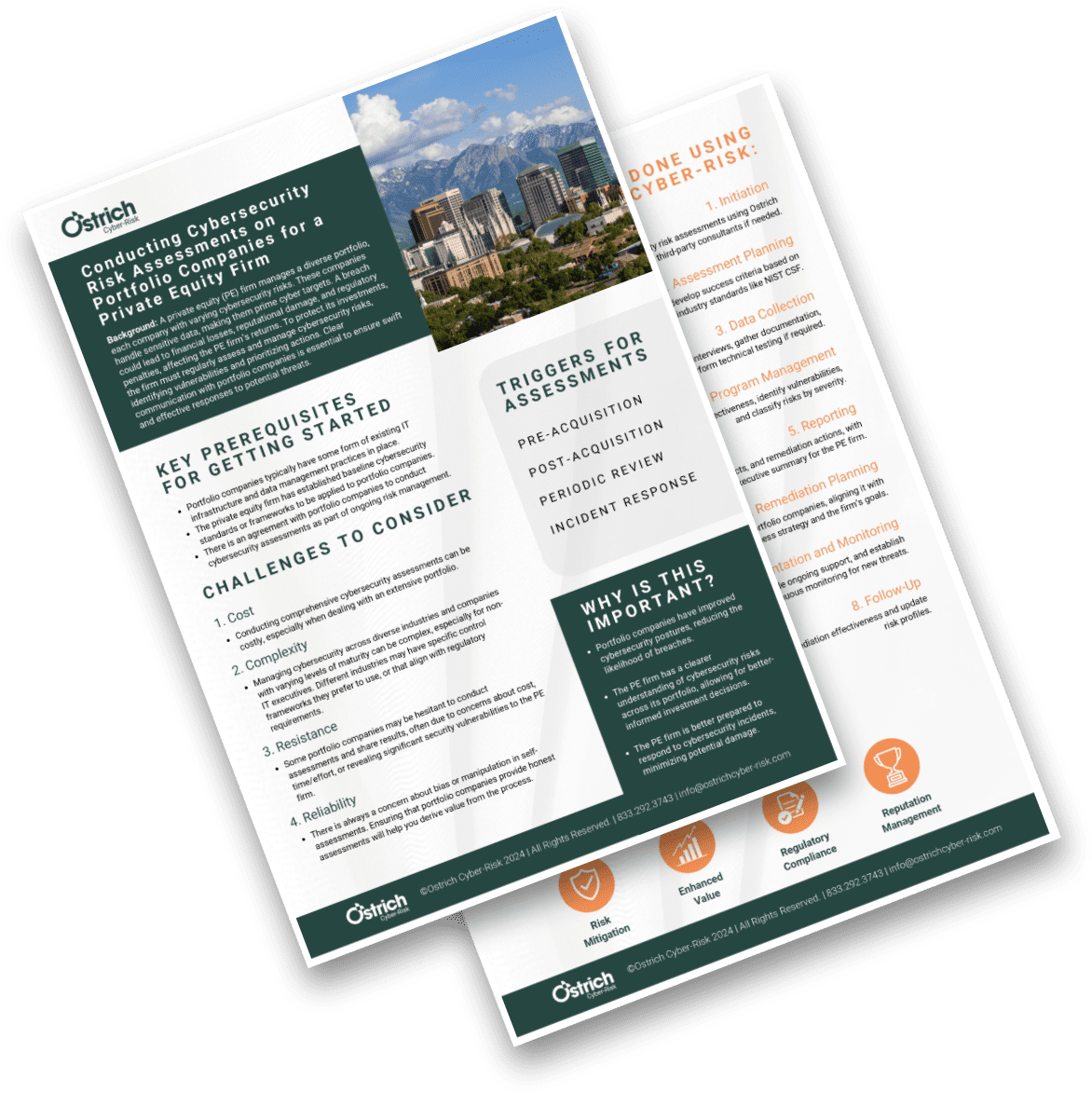 Ostrich Resources — Ostrich Cyber-Risk