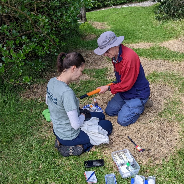 NZPI Newsletter November 2022