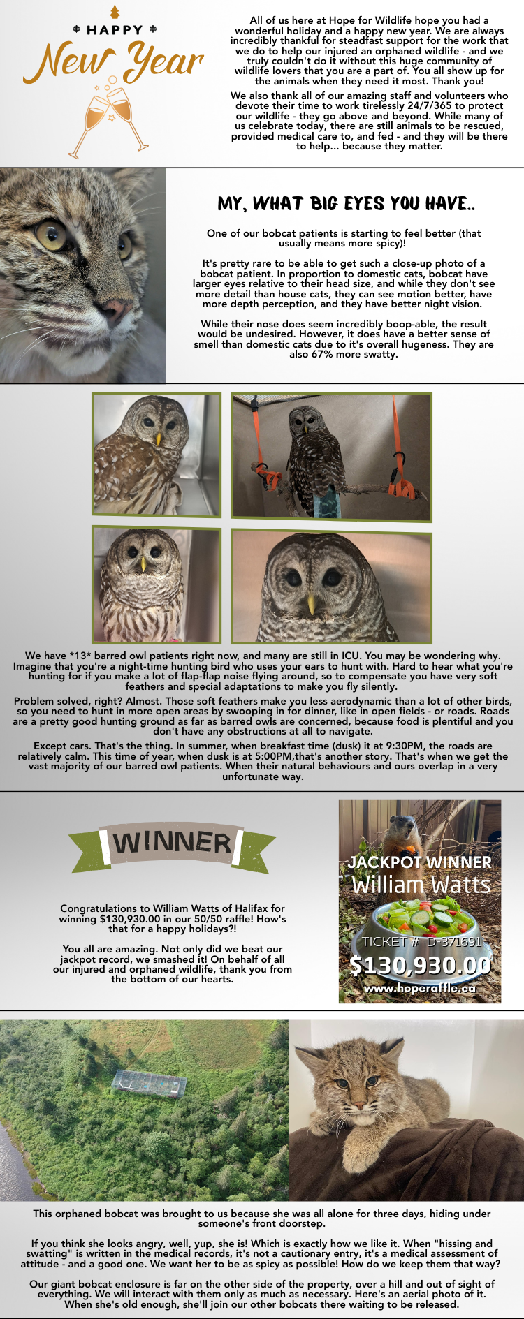 Hope for Wildlife Newsletter - January 2026