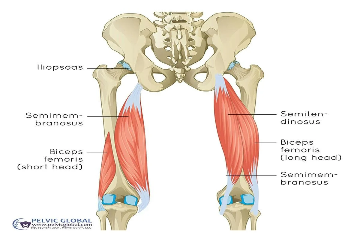 Sudden Back Pain with Lifting? It May be a Muscle Strain - Functional ...
