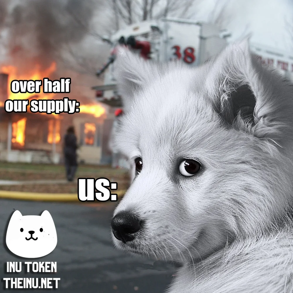 INU Token Memes — INU TOKEN