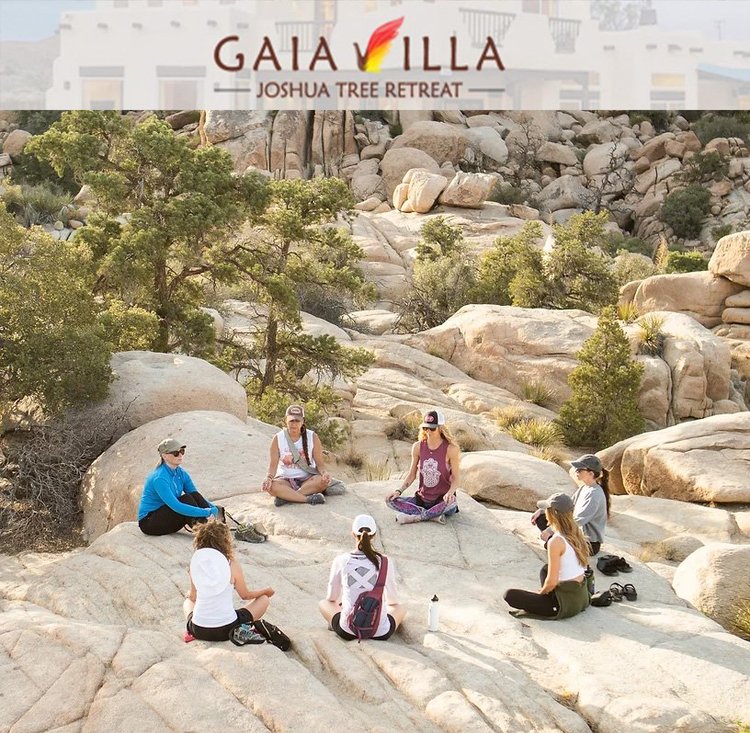 Joshua Tree Fall Happenings!