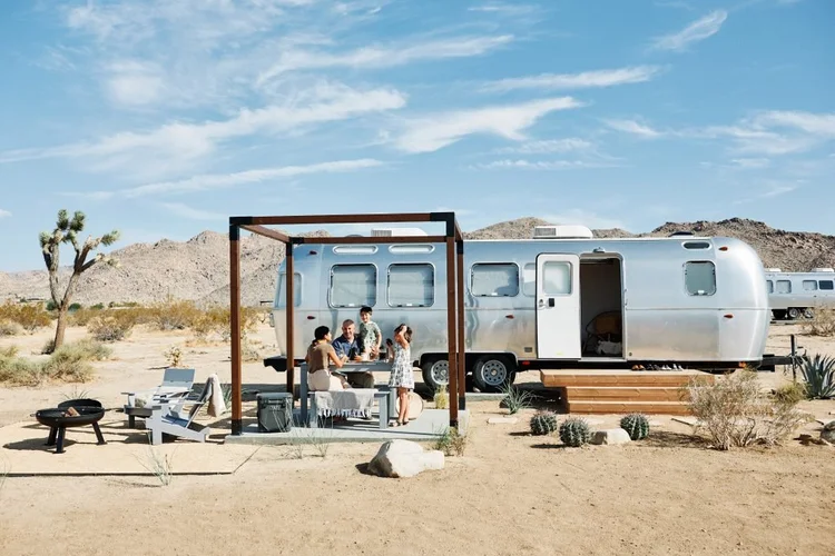 Joshua Tree Fall Happenings!