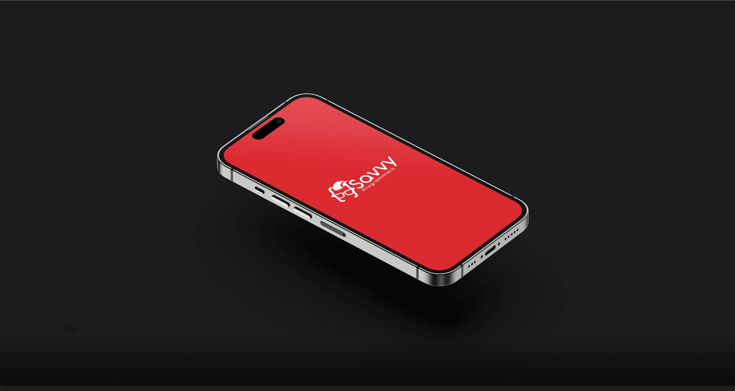 Contact Us — Savvy Programmers