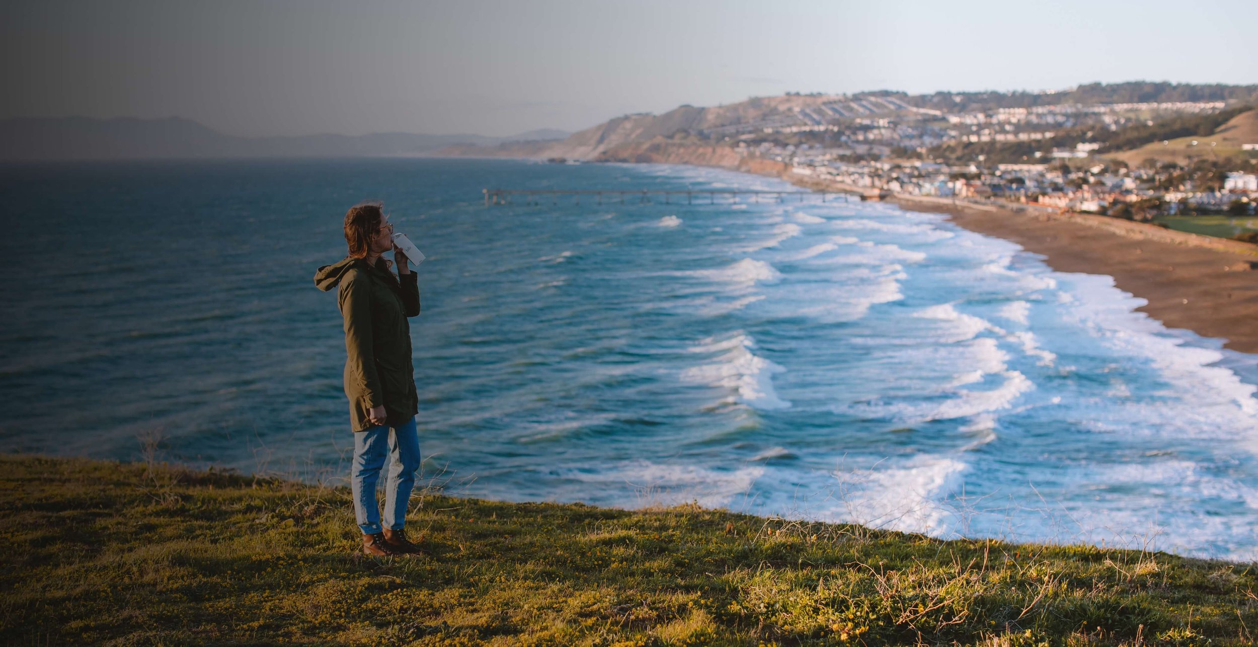 All Birds — Savvy Programmers