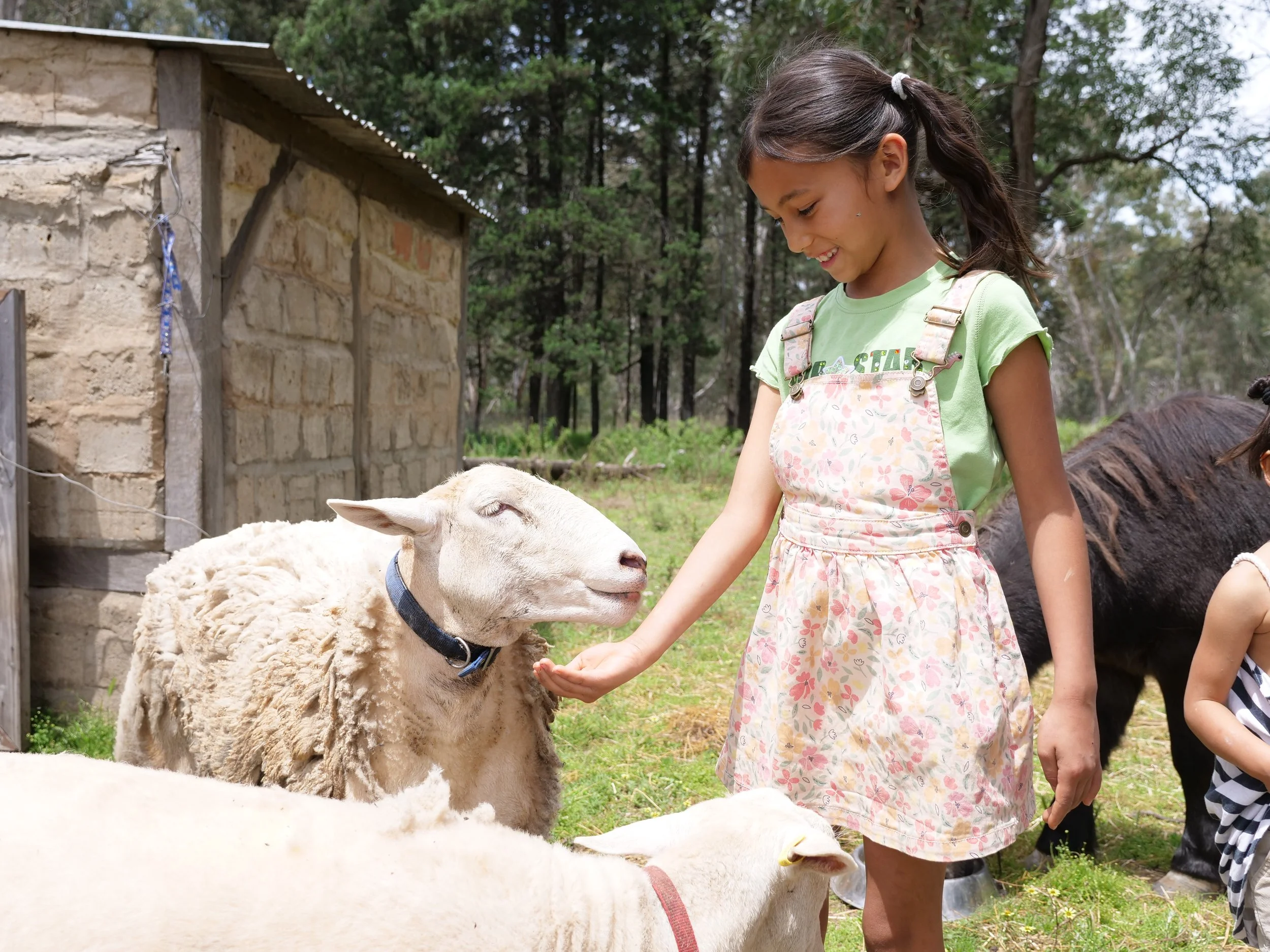 Pilliga Pottery Creative Farmstay