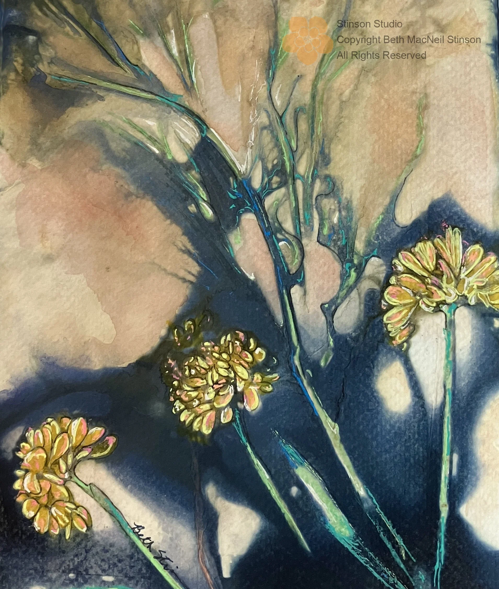 Echo Printing — Stinson Studio