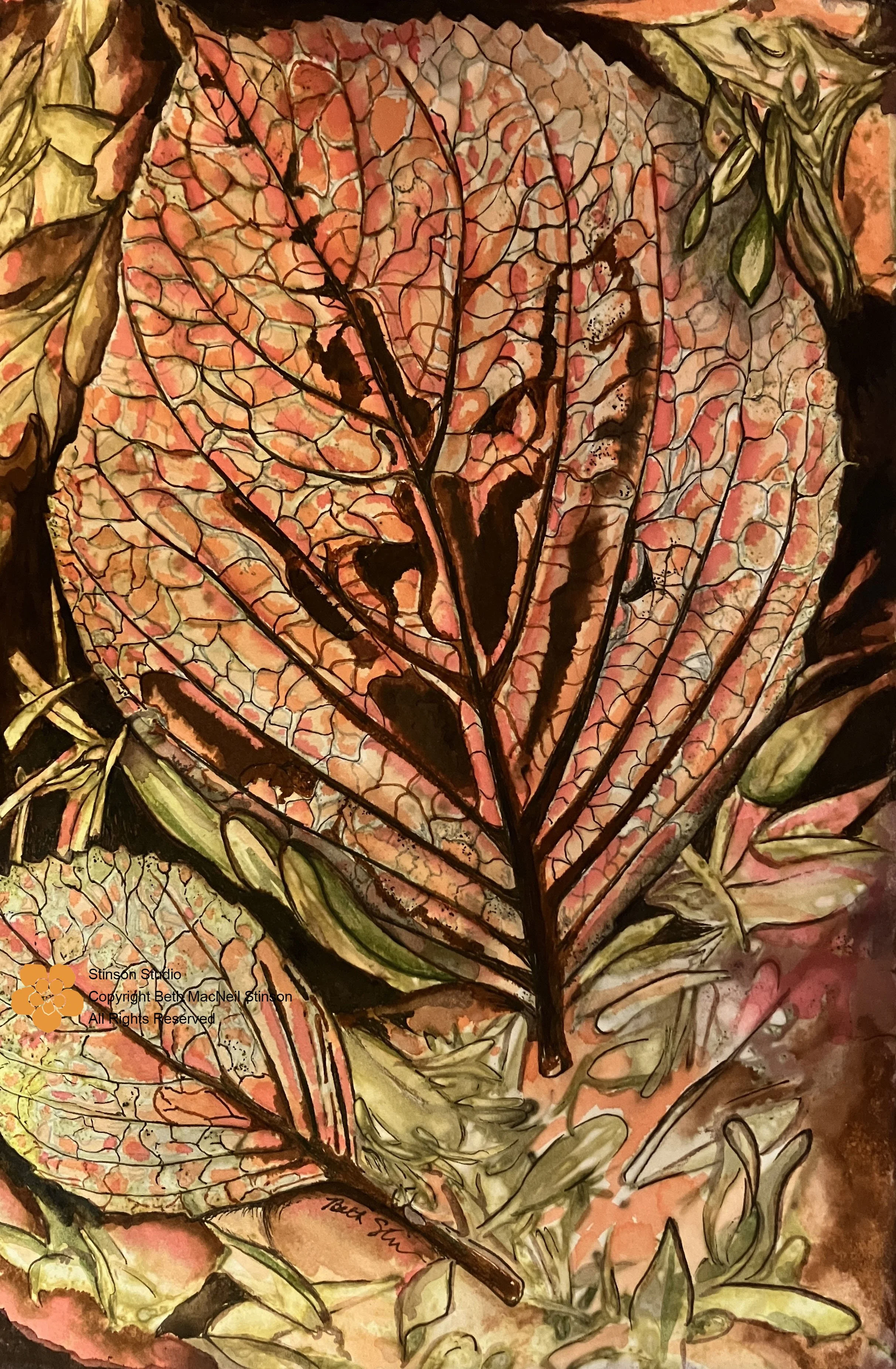 Echo Printing — Stinson Studio