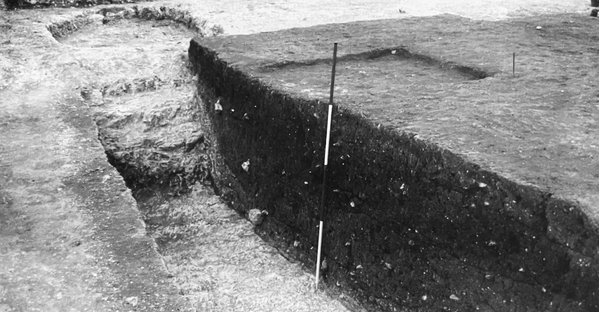 KAS Newsletter, Issue 46, Spring 2000 — Kent Archaeological Society