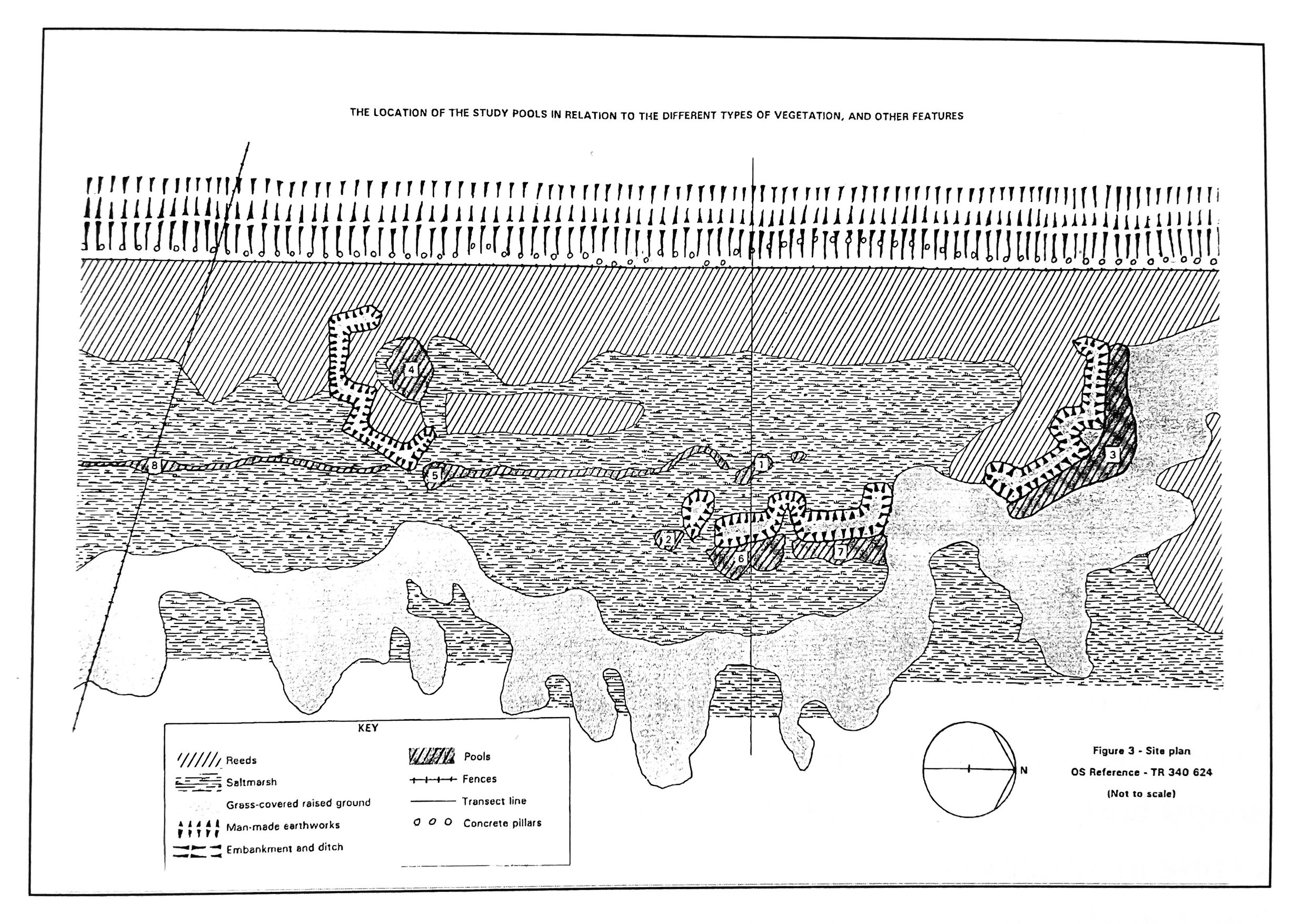 KAS Newsletter, Issue 40, Spring 1998 — Kent Archaeological Society
