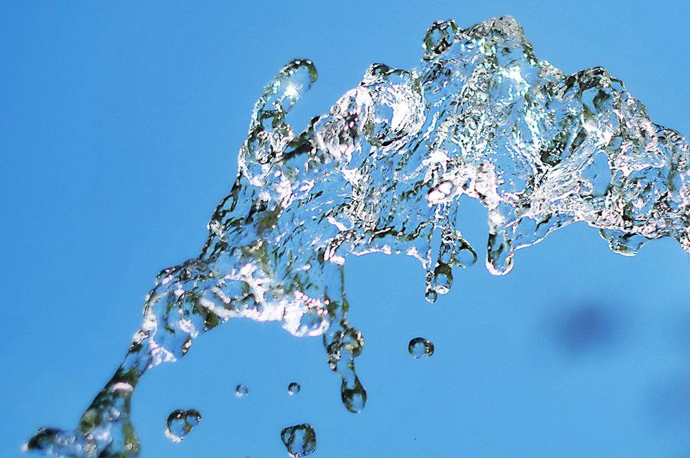 togs: chookooloonks and vida voices! — KAREN WALROND