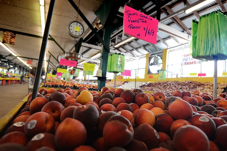 el bolillo bakery & the canino market — KAREN WALROND :: CHOOKOOLOONKS