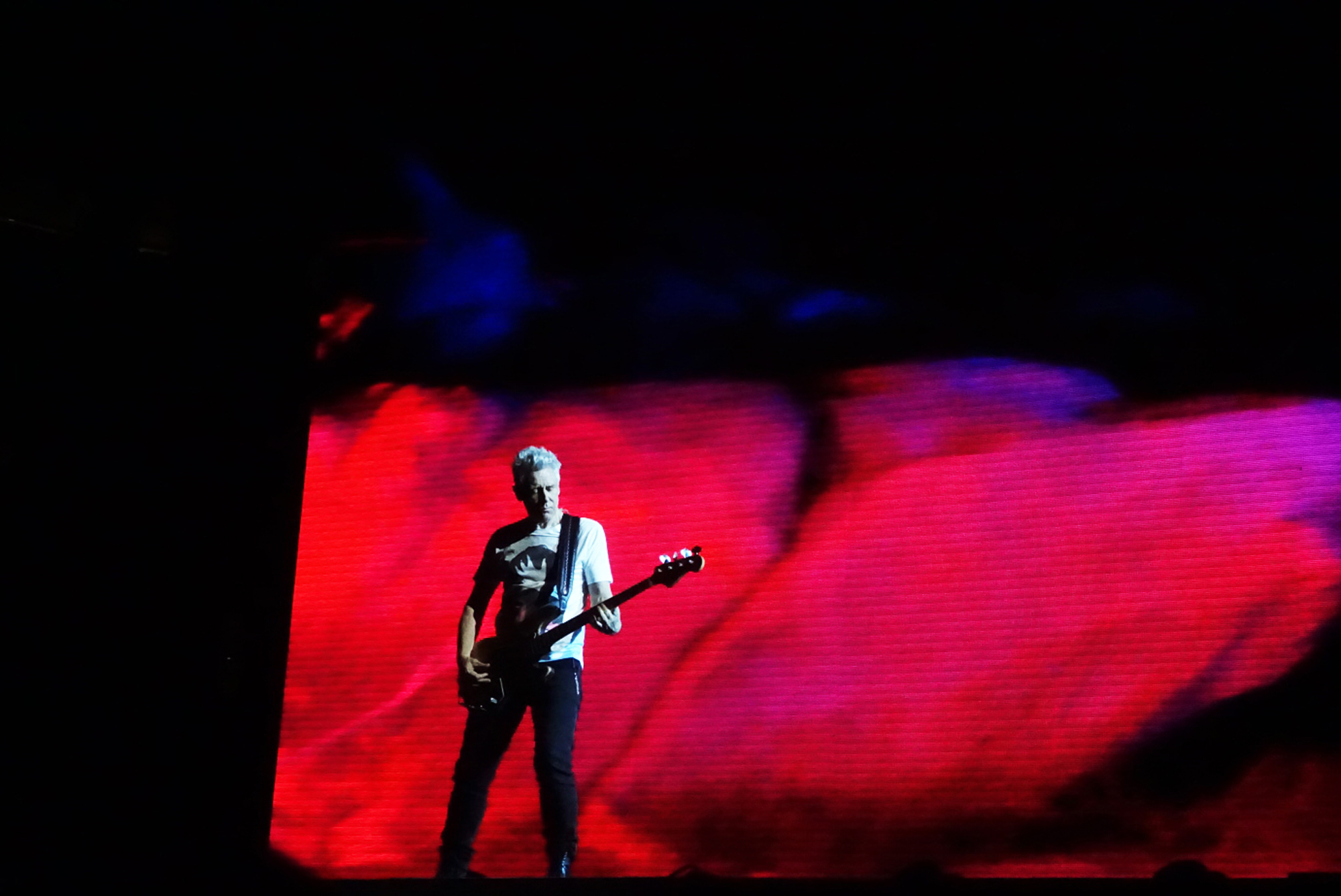 the joshua tree tour — KAREN WALROND :: CHOOKOOLOONKS