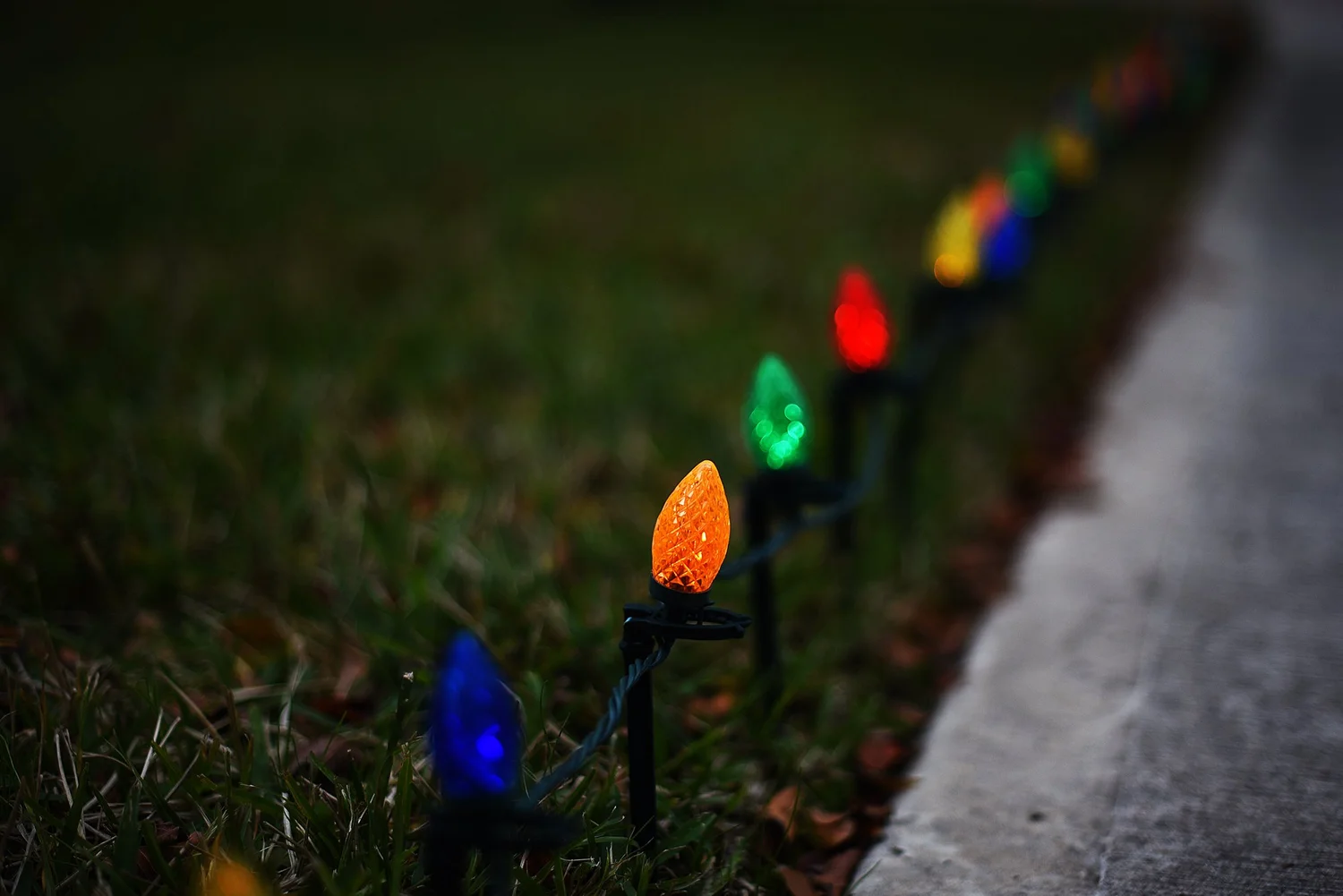 a rebellious little list of good things — KAREN WALROND