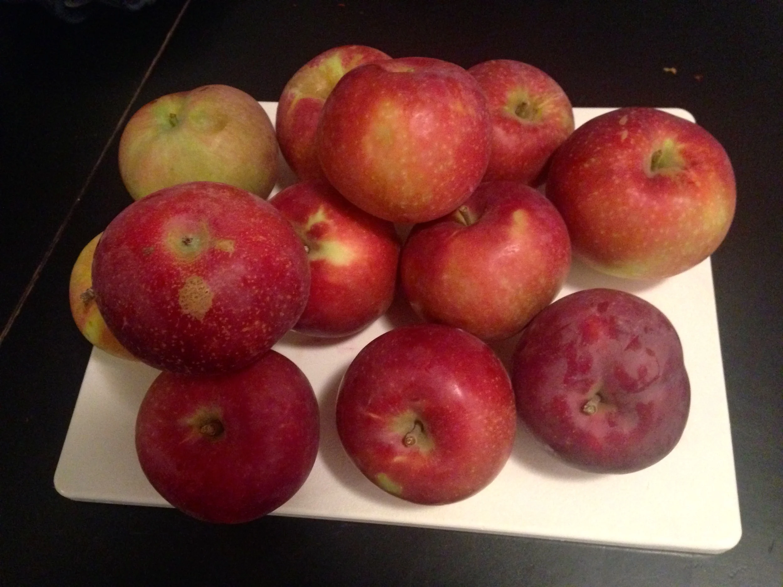 Make Your Own Applesauce LaLa Lunchbox