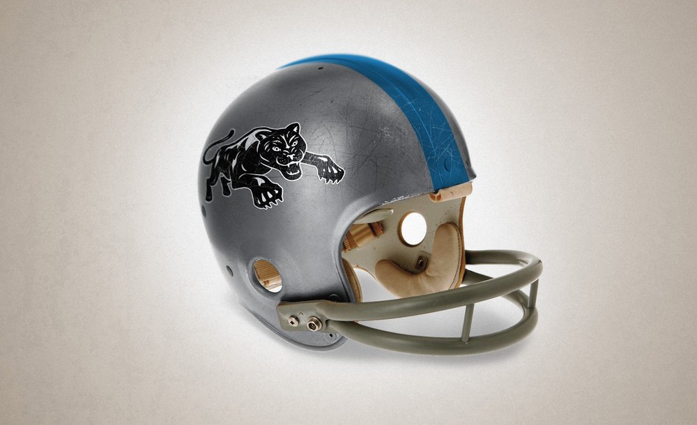 Daydream Rebrand: Carolina Panthers Hidden History — the Design Office ...